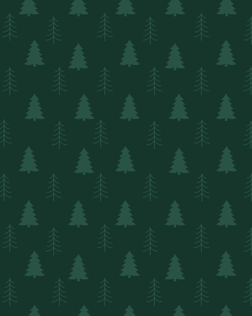 Gift Guide 2025 Evergreens Collection